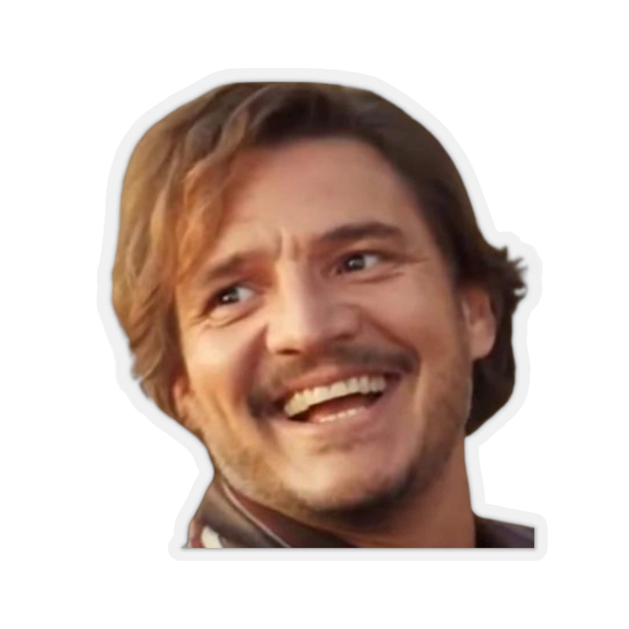 Pedro Pascal Kiss-cut Stickers - Etsy