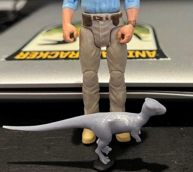 Homalocephale 3D Print STL File - Etsy