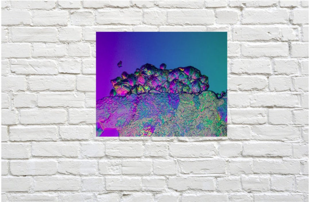 Crystal Bloom: Rainbow Plant Fertilizer Macro Photography Print - 40x ...