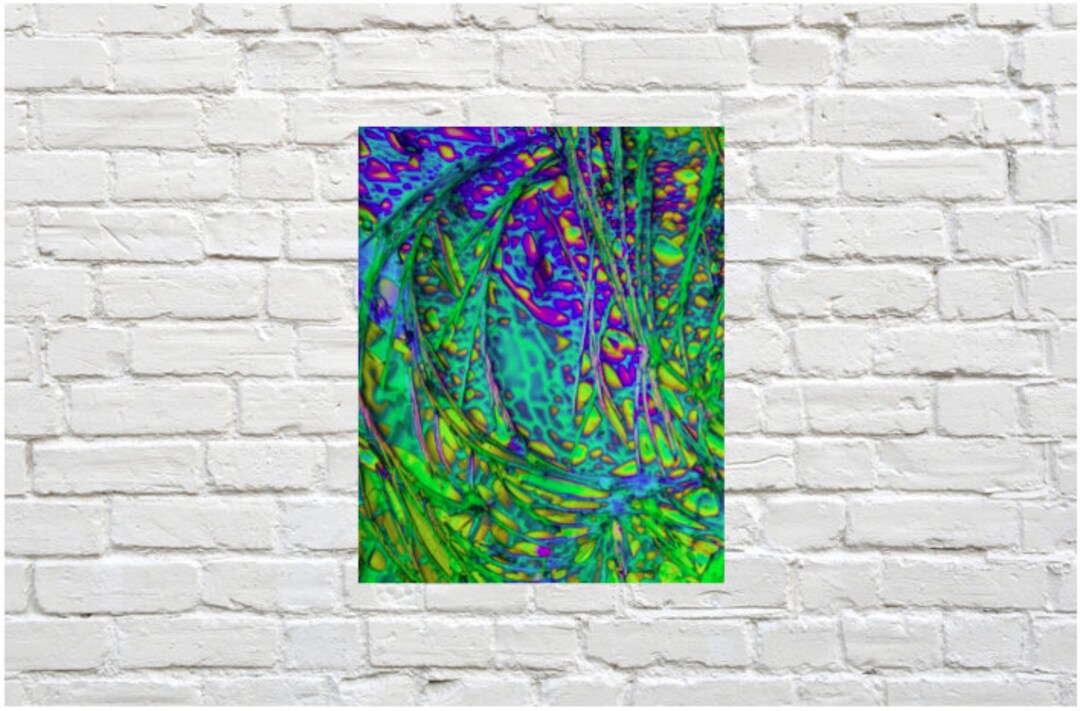 Psychedelic Prism: Rainbow Epson Salt Crystal Macro Photography Print ...