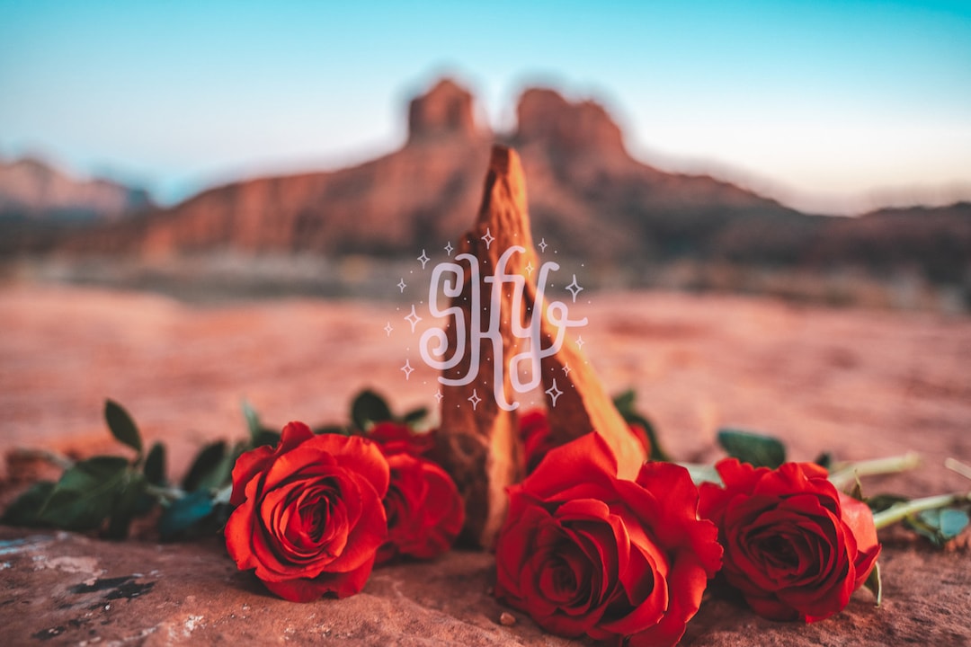 Sedona Red Rock Rose Stock Photo - Etsy