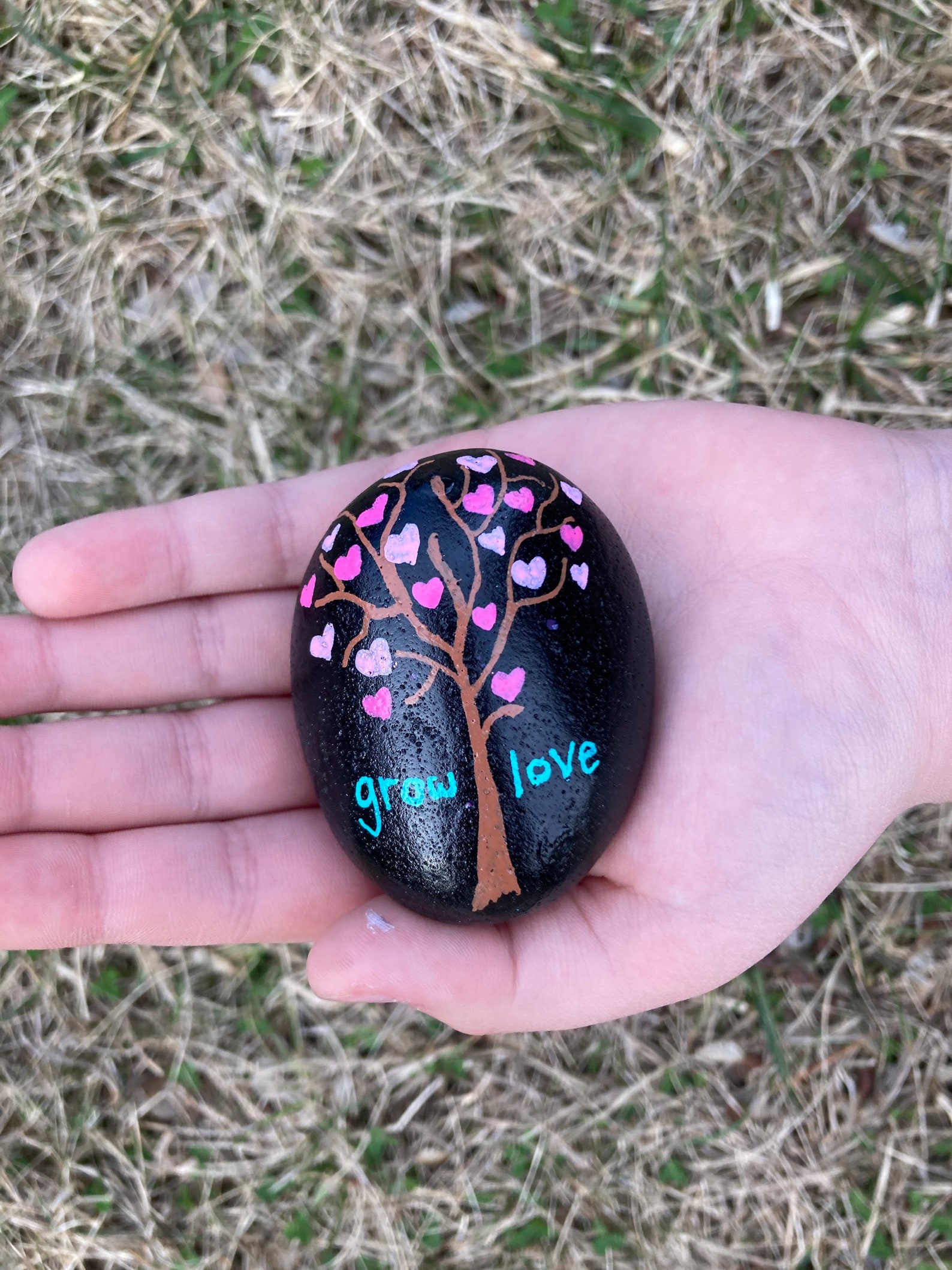 Colorful Medium Sized Kindness Rocks With Daily Affirmations - Etsy