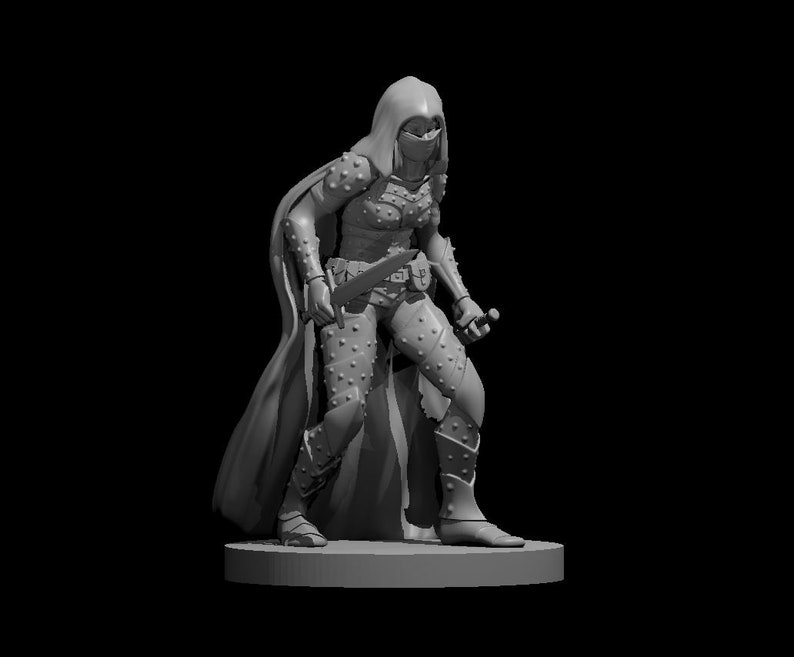 Assassin Female MZ4250 Fantasy RPG D&D 5e Dungeons and Dragons ...