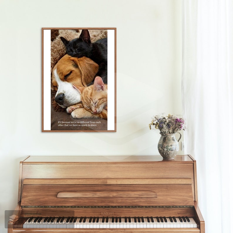 Dog and Cats Cuddle Together, Inspirational Quote, Adorable and Cute ...