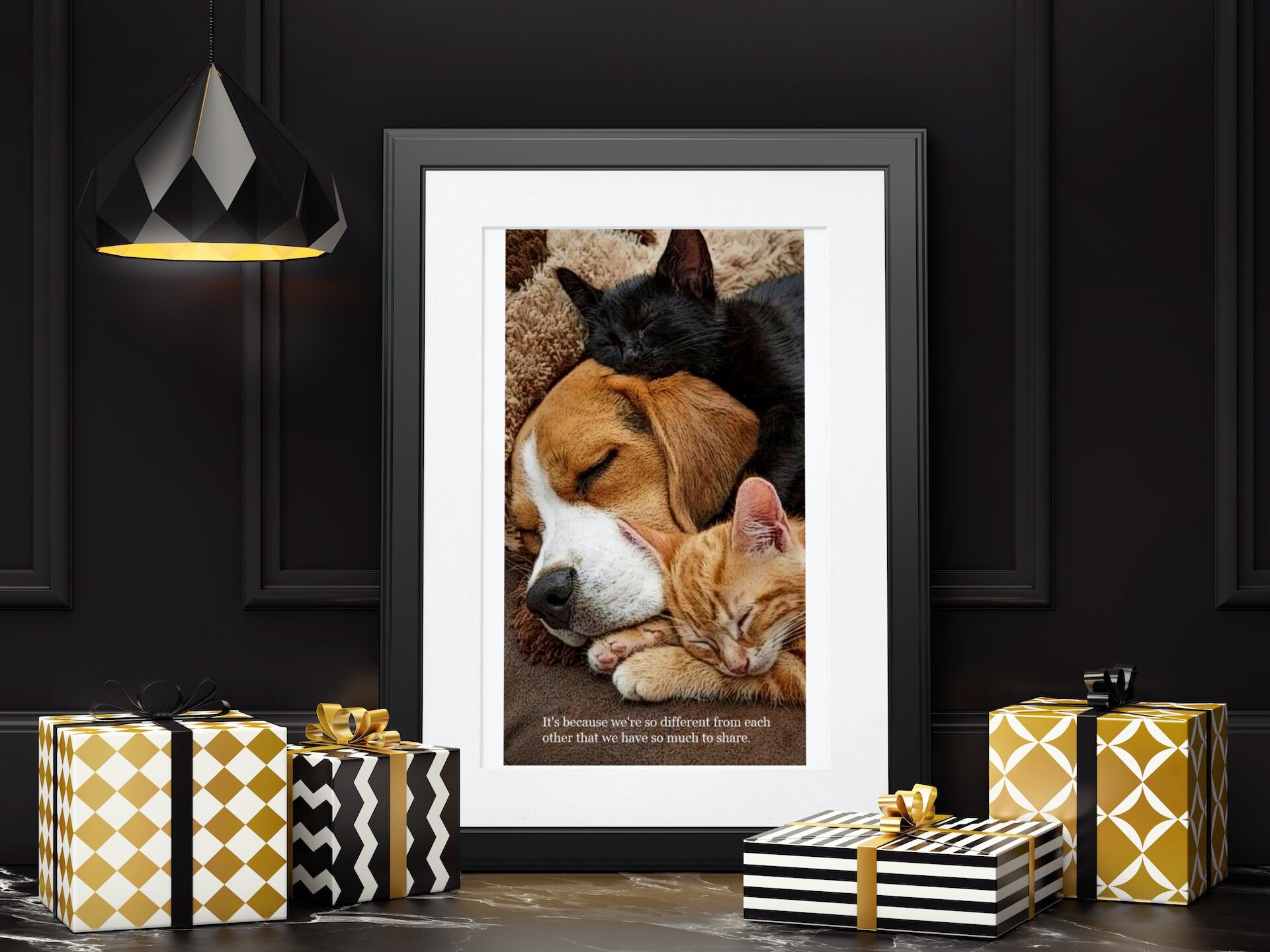 Dog and Cats Cuddle Together, Inspirational Quote, Adorable and Cute ...