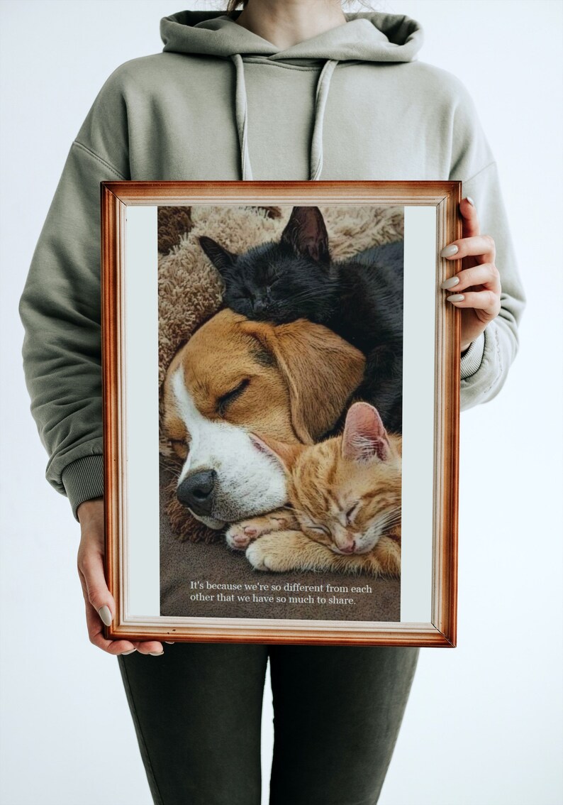 Dog and Cats Cuddle Together, Inspirational Quote, Adorable and Cute ...