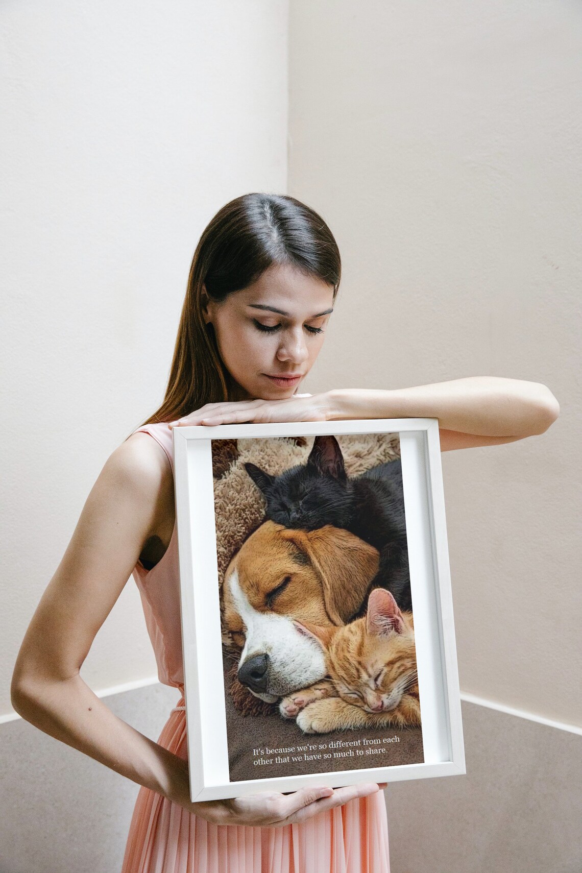 Dog and Cats Cuddle Together, Inspirational Quote, Adorable and Cute ...