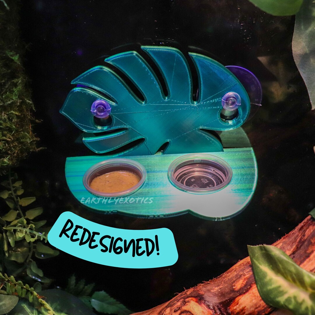 Monstera Reptile Feeding Ledge, Suction Cup Food Ledge, Crested Gecko ...