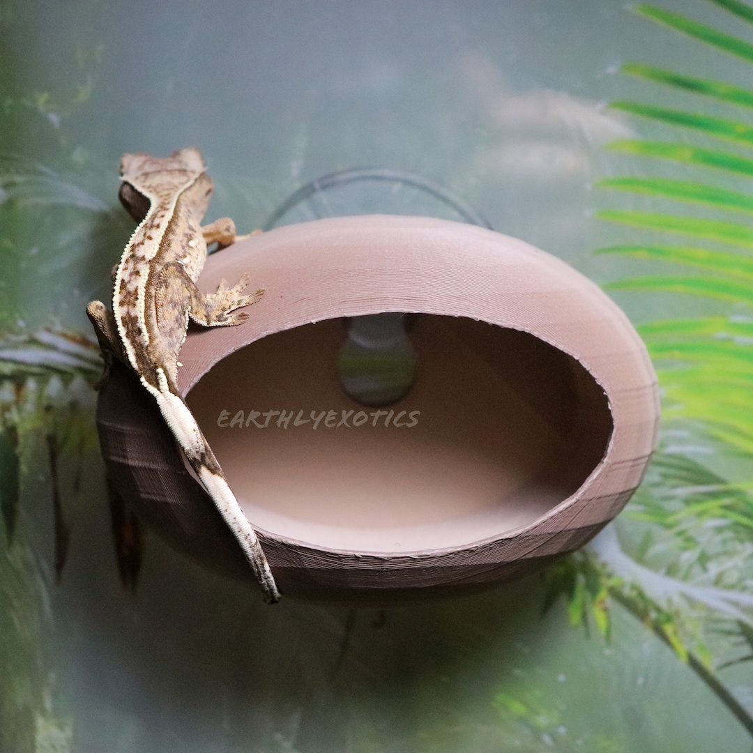 Small Reptile Pod Hide, Crested Gecko Suction Cup Hide, Frog Hide ...