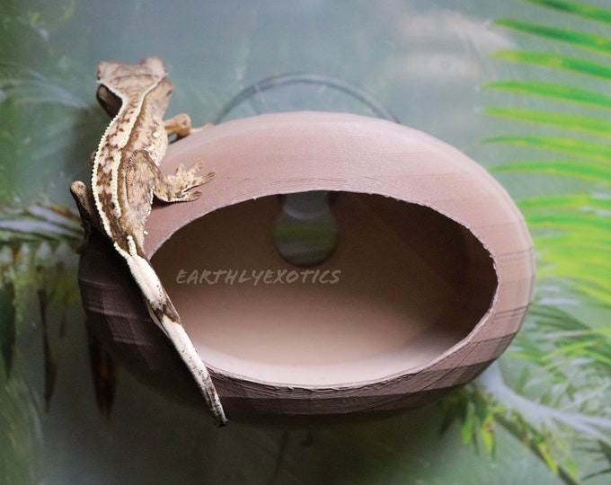Home Sweet Home Bucket Hide for Axolotls, Hamsters, Reptiles - Etsy
