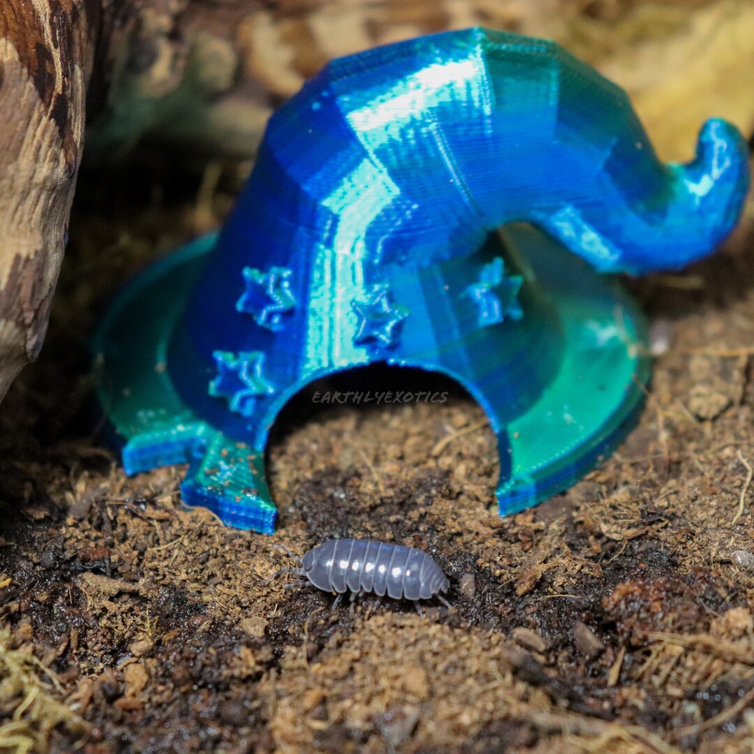 Witch Hat Hide, Wizard Hat Isopod Bin Hide, Roly Poly Decoration for ...