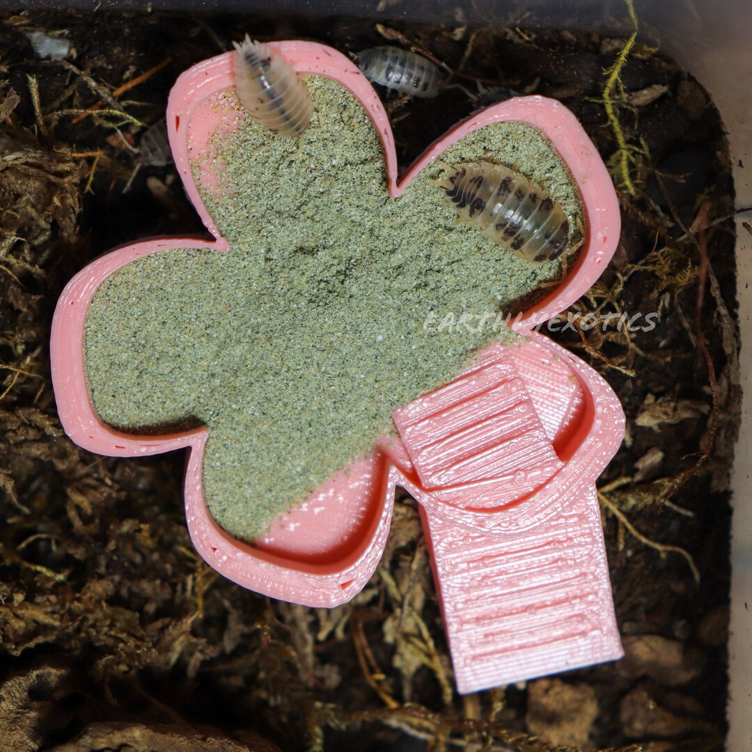 Isopod Feeding Dish Flower, Tiny Food Bowl, Rolly Polly Feeding Station ...