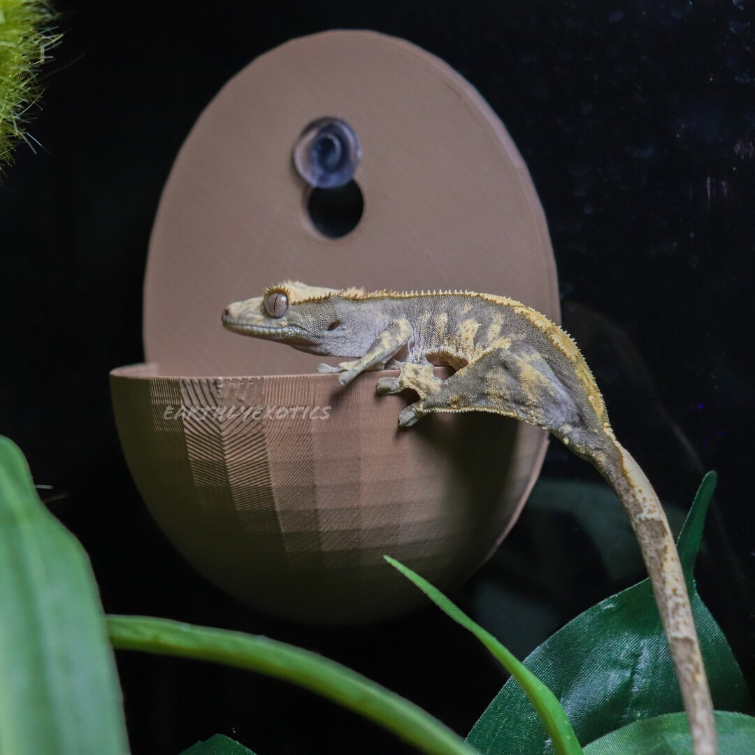 Hanging Reptile Hide, Suction Cup Water Pool for Reptiles, Frog Hide ...