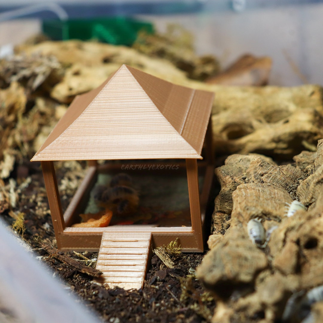 Gazebo Isopod Hide, Roly Poly Feeding Dish Isopod Decoration for Tiny ...