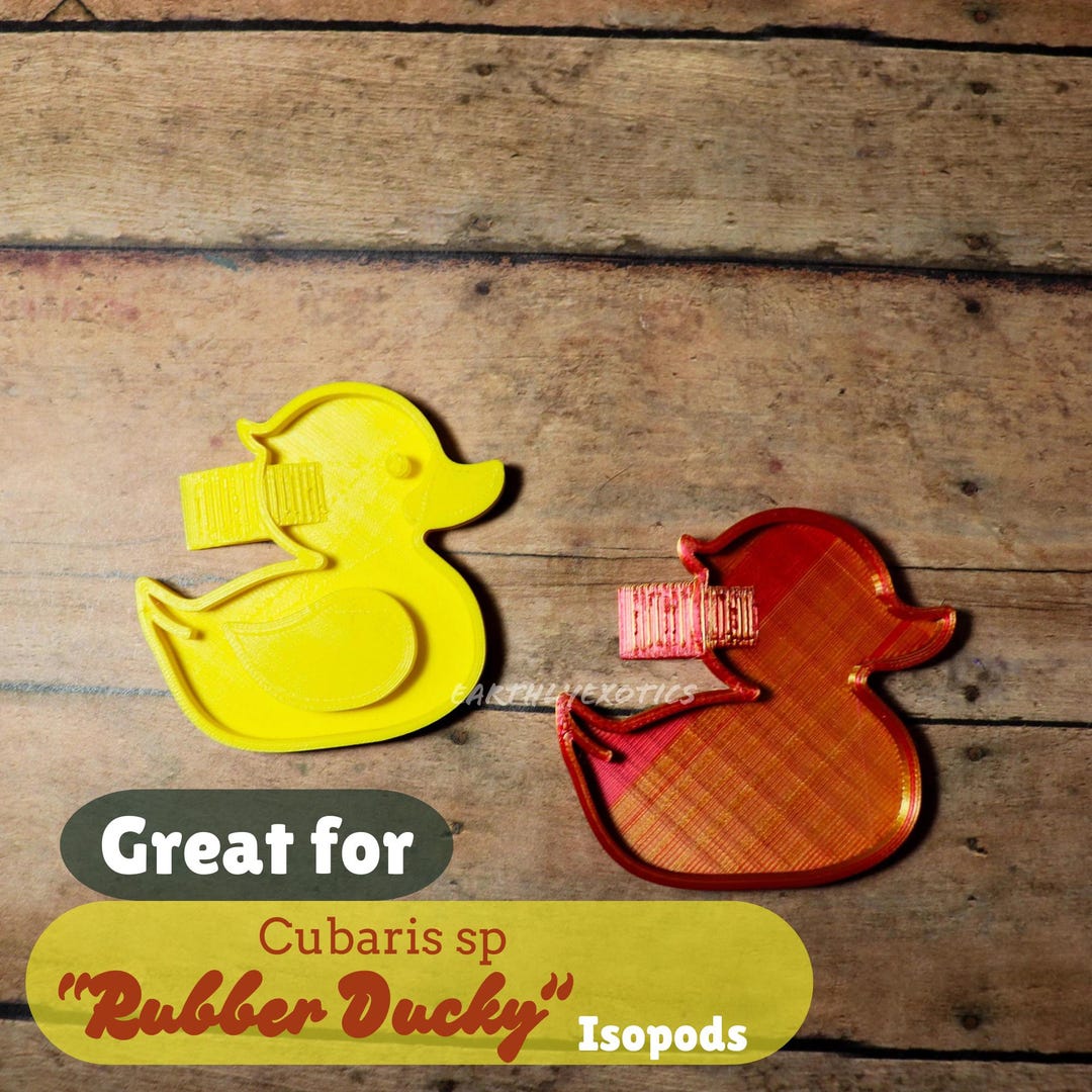 Rubber Ducky Isopod Feeding Dish, Tiny Food Bowl, Rolly Polly Feeding ...