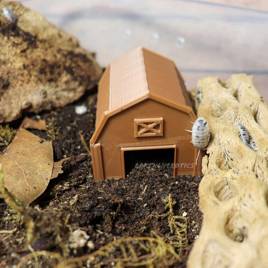 Dairy Cow Isopod Barn Hide, Barn Isopod Feeding Trough, Roly Poly Bin ...