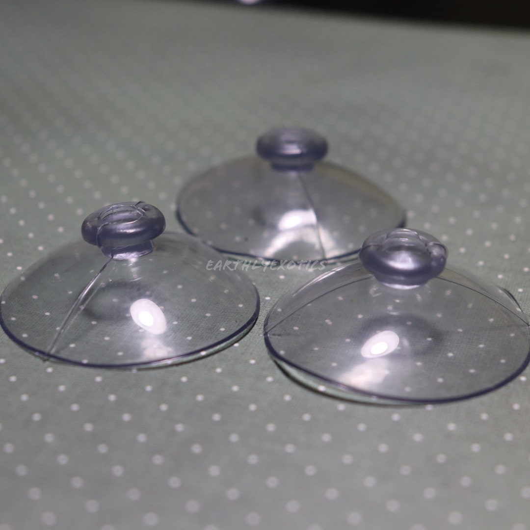 Replacement Suction Cups, Suction Cups for Reptile Ledges - Etsy