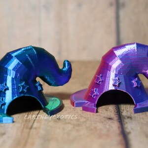 Witch Hat Hide, Wizard Hat Isopod Bin Hide, Roly Poly Decoration for ...