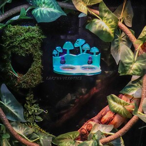 Gecko Feeding Ledge, Elevated Food Bowls, Reptile Food Ledge, Mushroom ...