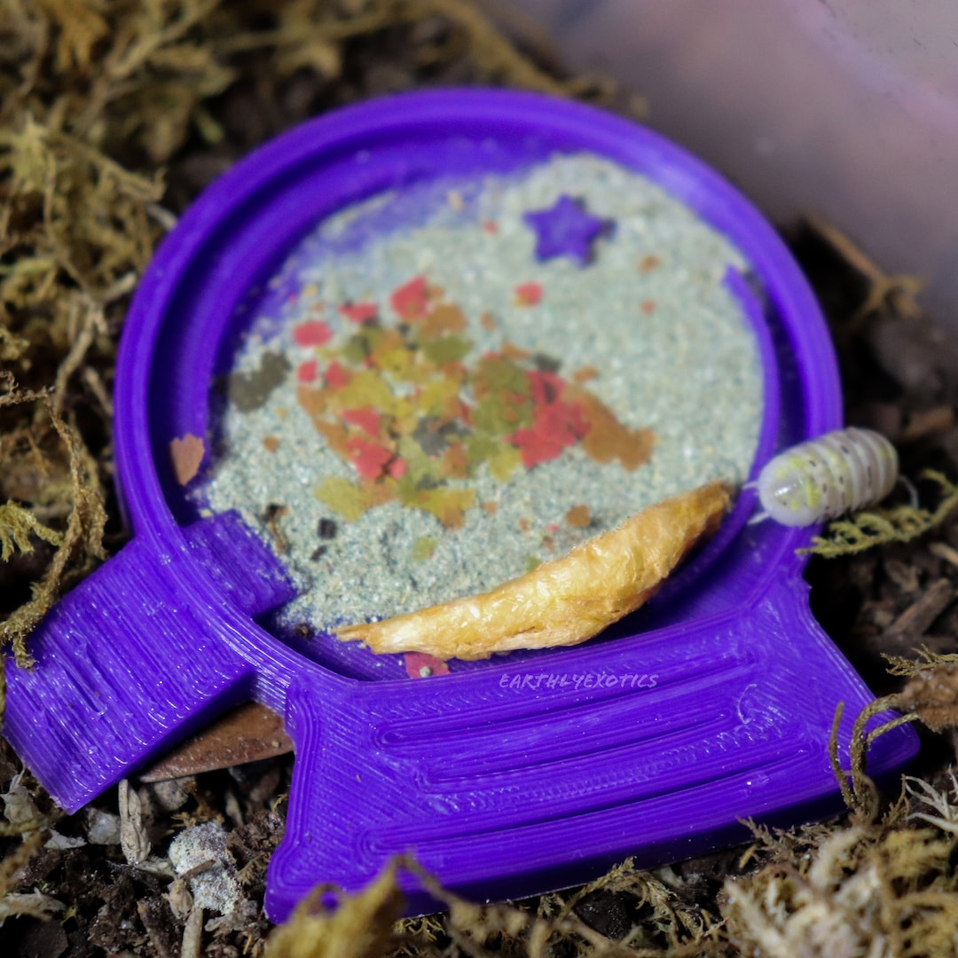 Crystal Ball Isopod Feeding Dish, Tiny Food Bowl, Rolly Polly Feeding ...