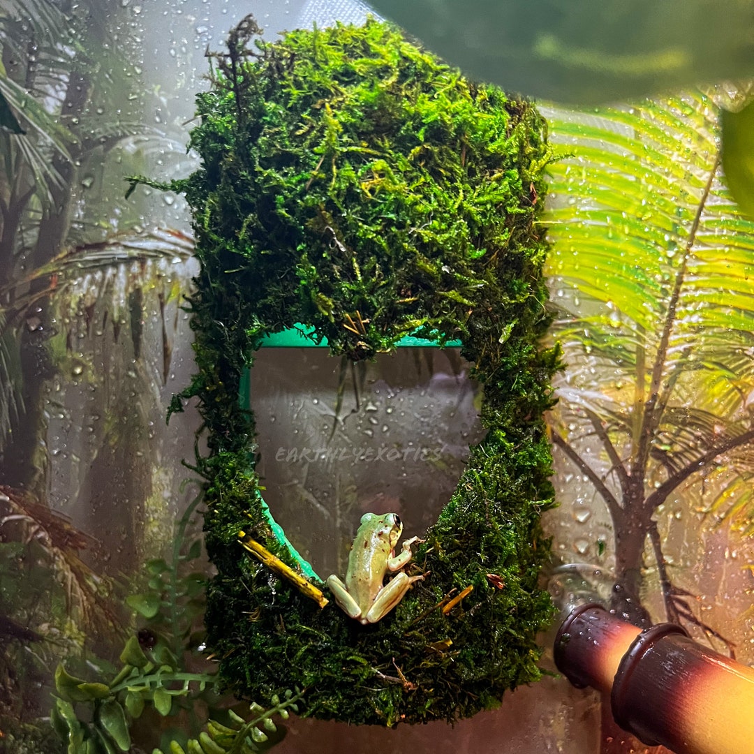 Mossy Half Log Reptile Hide, Suction Cup Moss Heart Hide, Reptile Humid ...
