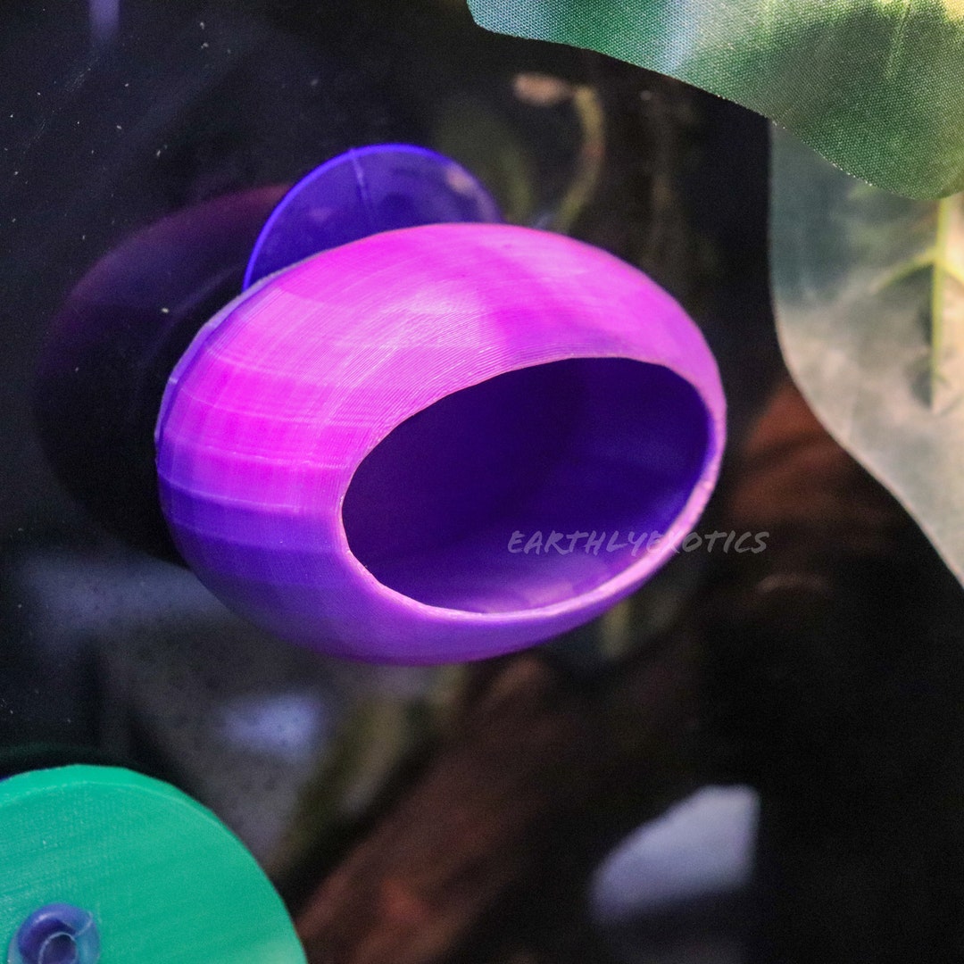 Color Changing Reptile Hide, Purple to Pink Suction Cup Pod Hide ...