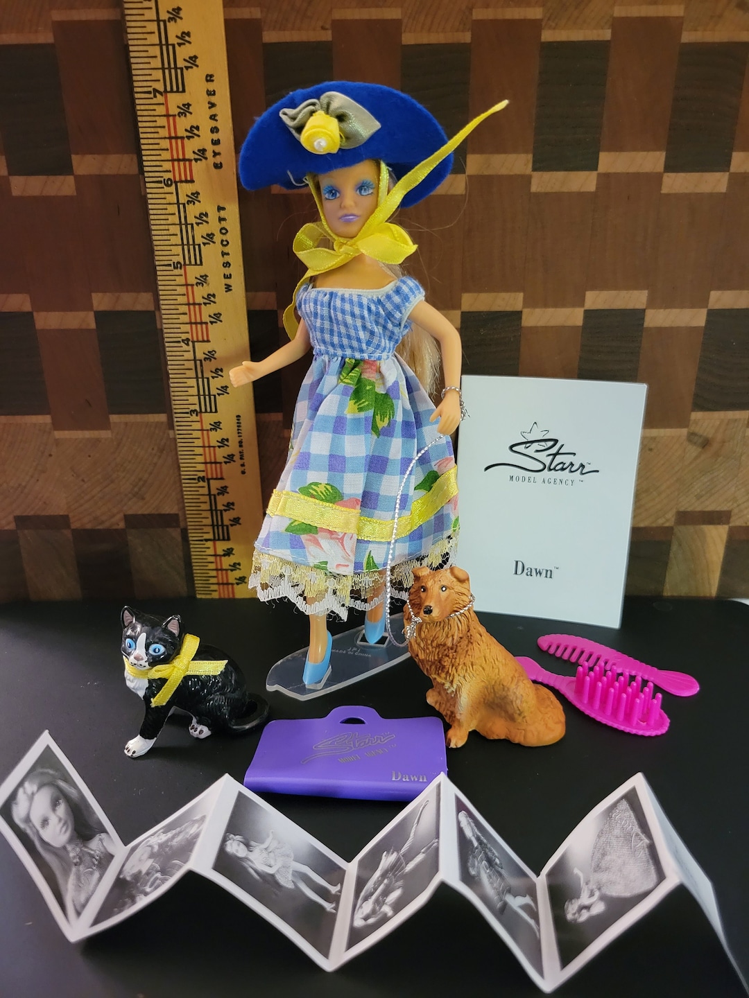 Vintage 90's Starr Modeling Agency Dolls 'prized Pets DAWN' COMPLETE ...