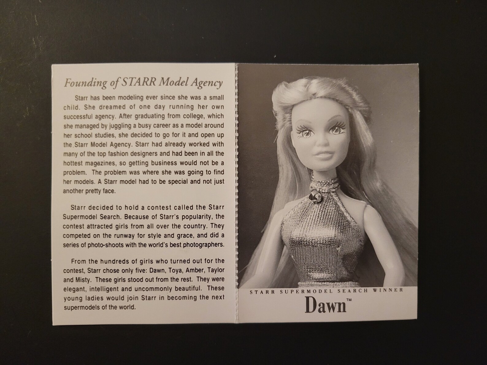 Vintage 90's Starr Modeling Agency Dolls 'totally Trendy DAWN' COMPLETE ...