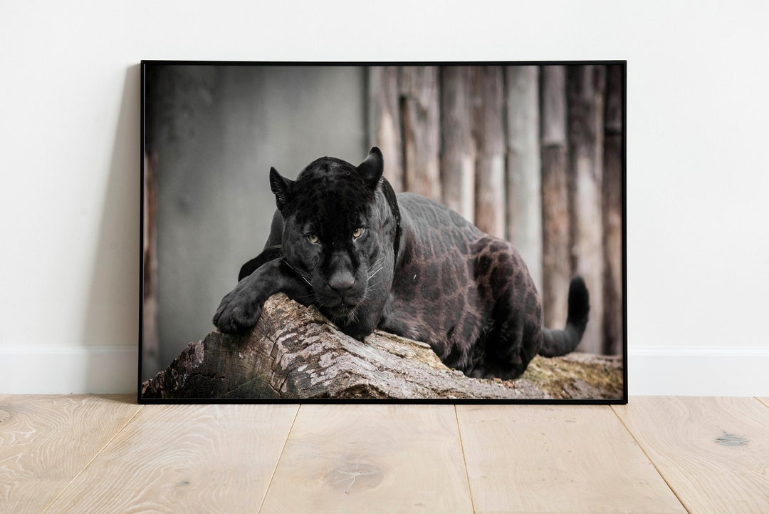 Black Panthera Wall Art Panther Canvas Panther Wall Art Panther Print ...