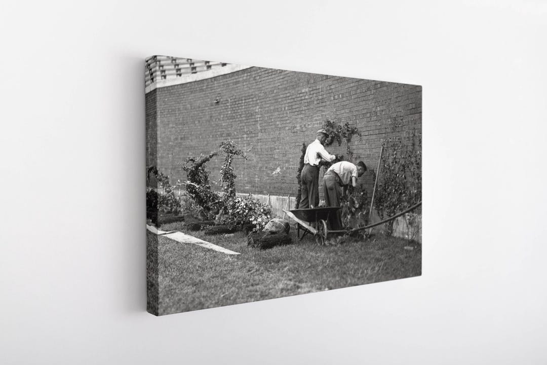 Chicago Cubs Wrigley Field Hanging of Ivy on Canvas, Wrigley Field ...