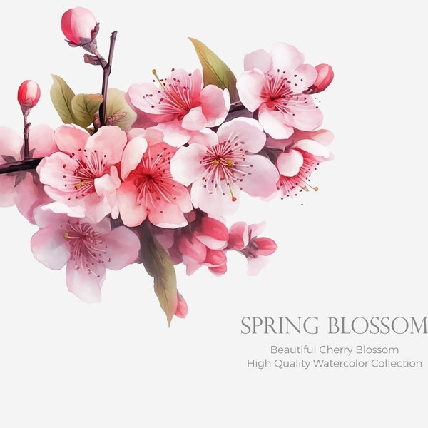 Watercolor Blossom - Etsy