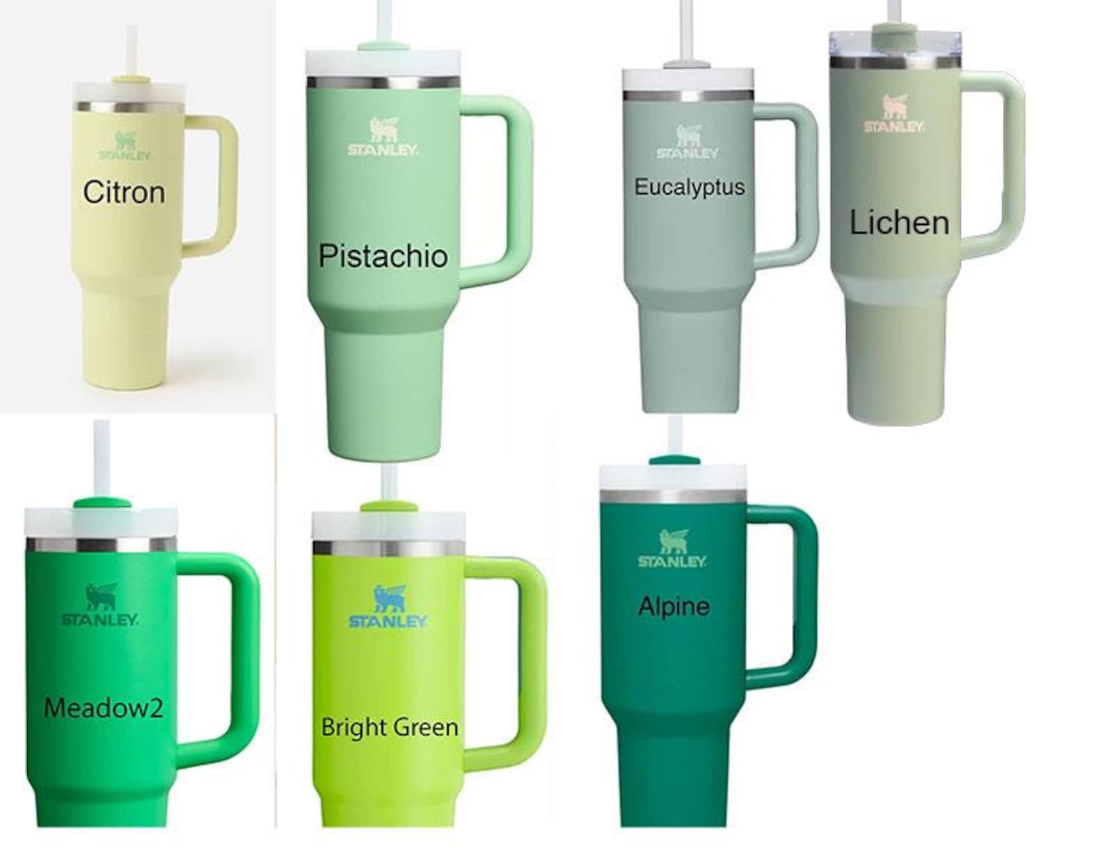 Pickles Engraved Stanley Cup and Other Generic Brands. 30oz and 40oz ...