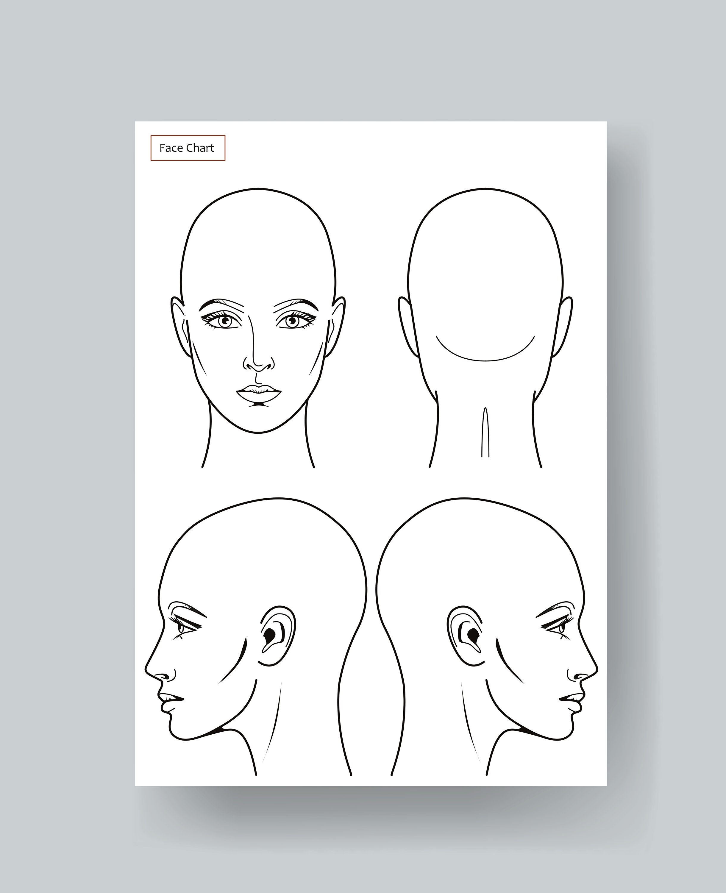 Face Muscles Scheme. Face Chart. Facial Muscles Anatomy. - Etsy