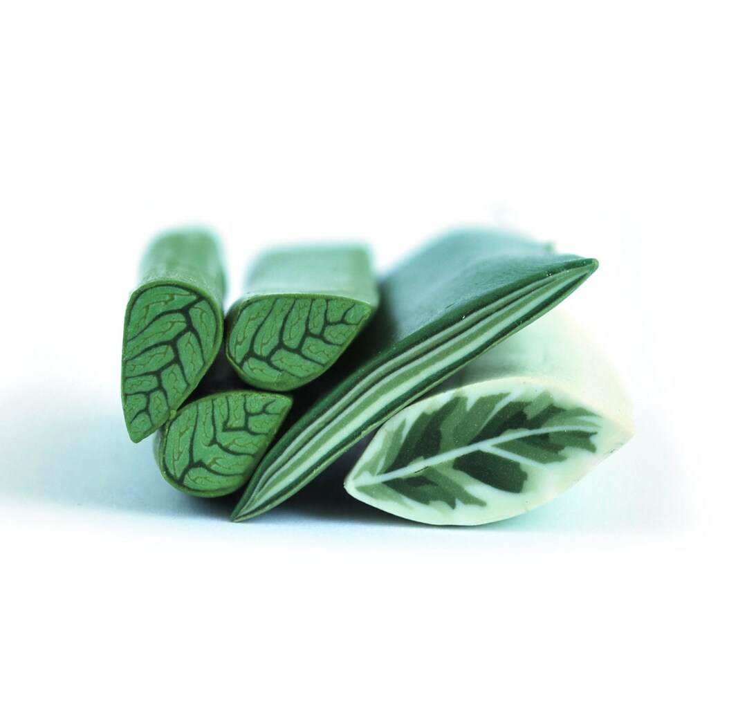 Set of 3 Leaf Polymer Clay Canes, Indoor Plant, Green Leaf, Raw and ...