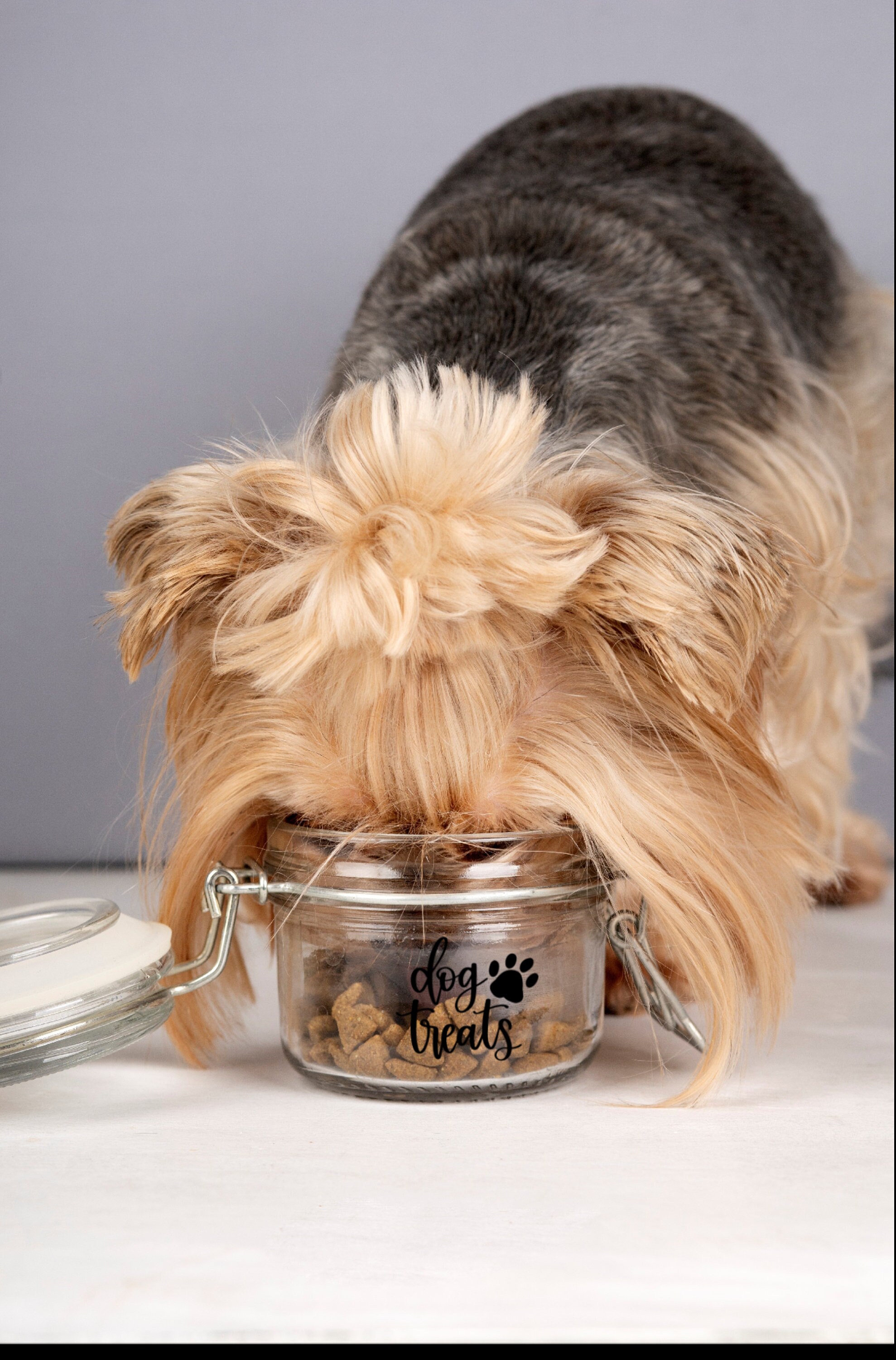 Personalised Dog Stickers Dog Vinyl Decal Sticker Pack - Etsy