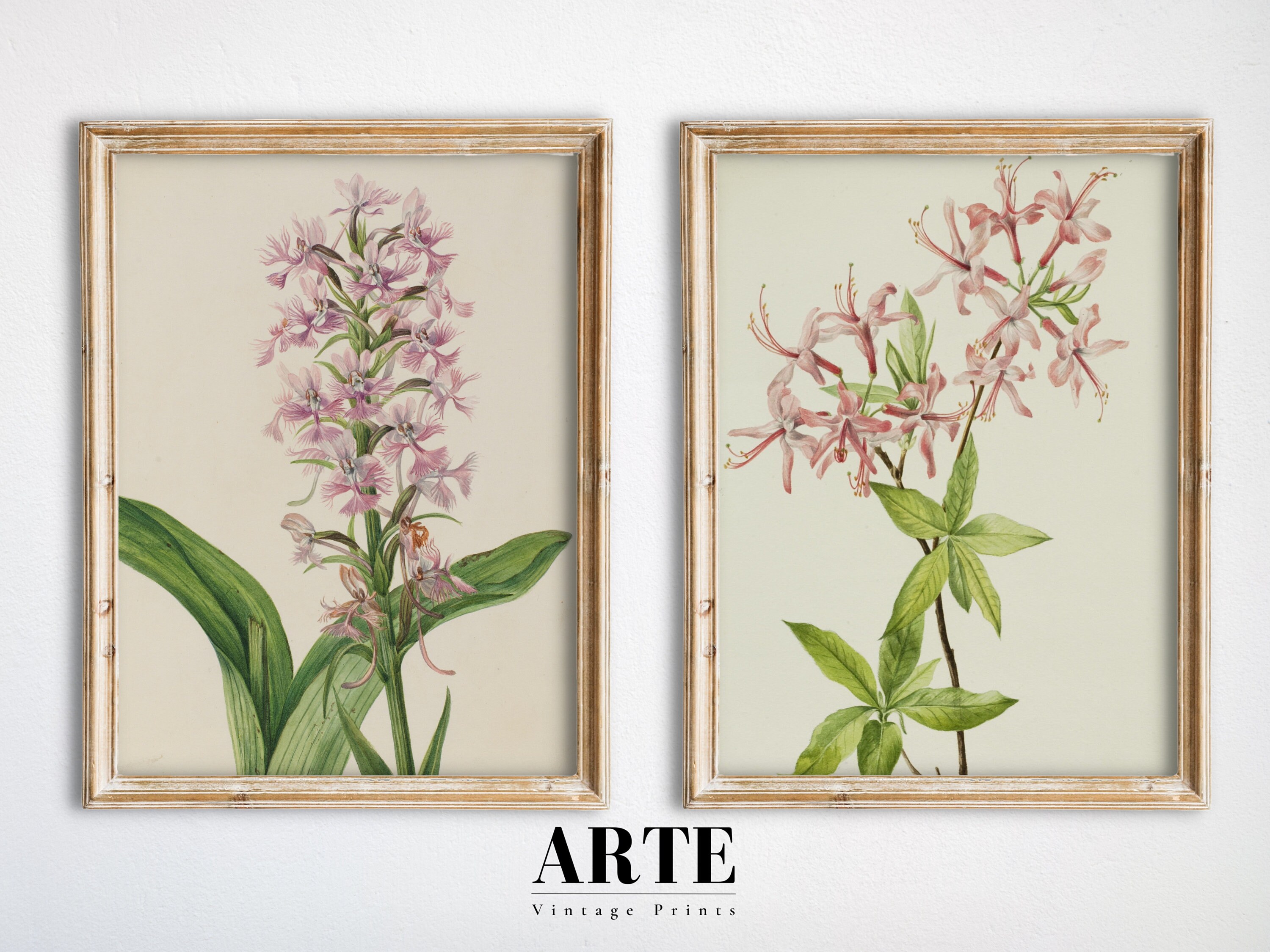 Vintage Botanical Prints Gallery Wall Set of 6 Farmhouse Wall Decor ...