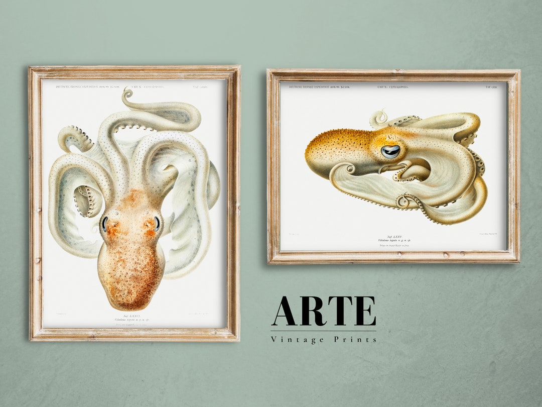 Octopus Art Print Set Printable Vintage Octopus Kitchen Wall Art Marine ...