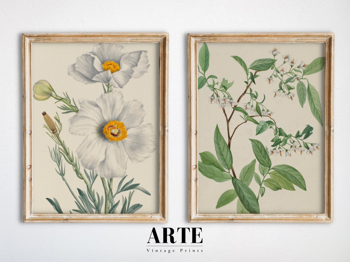 Vintage Botanical Prints Gallery Wall Set of 6 Farmhouse Wall Decor ...
