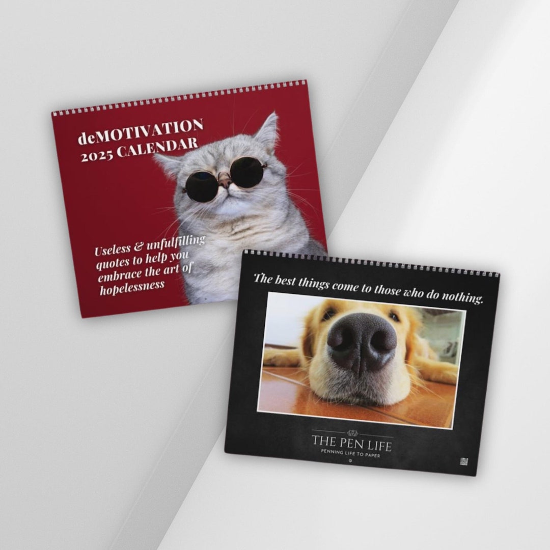 2025 Demotivation Wall Calendar, Funny 2025 Wall Calendar, Lazy Animal ...