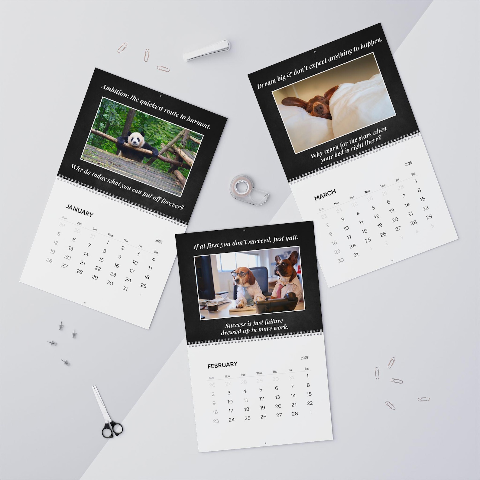 2025 Demotivation Wall Calendar, Funny 2025 Wall Calendar, Lazy Animal ...