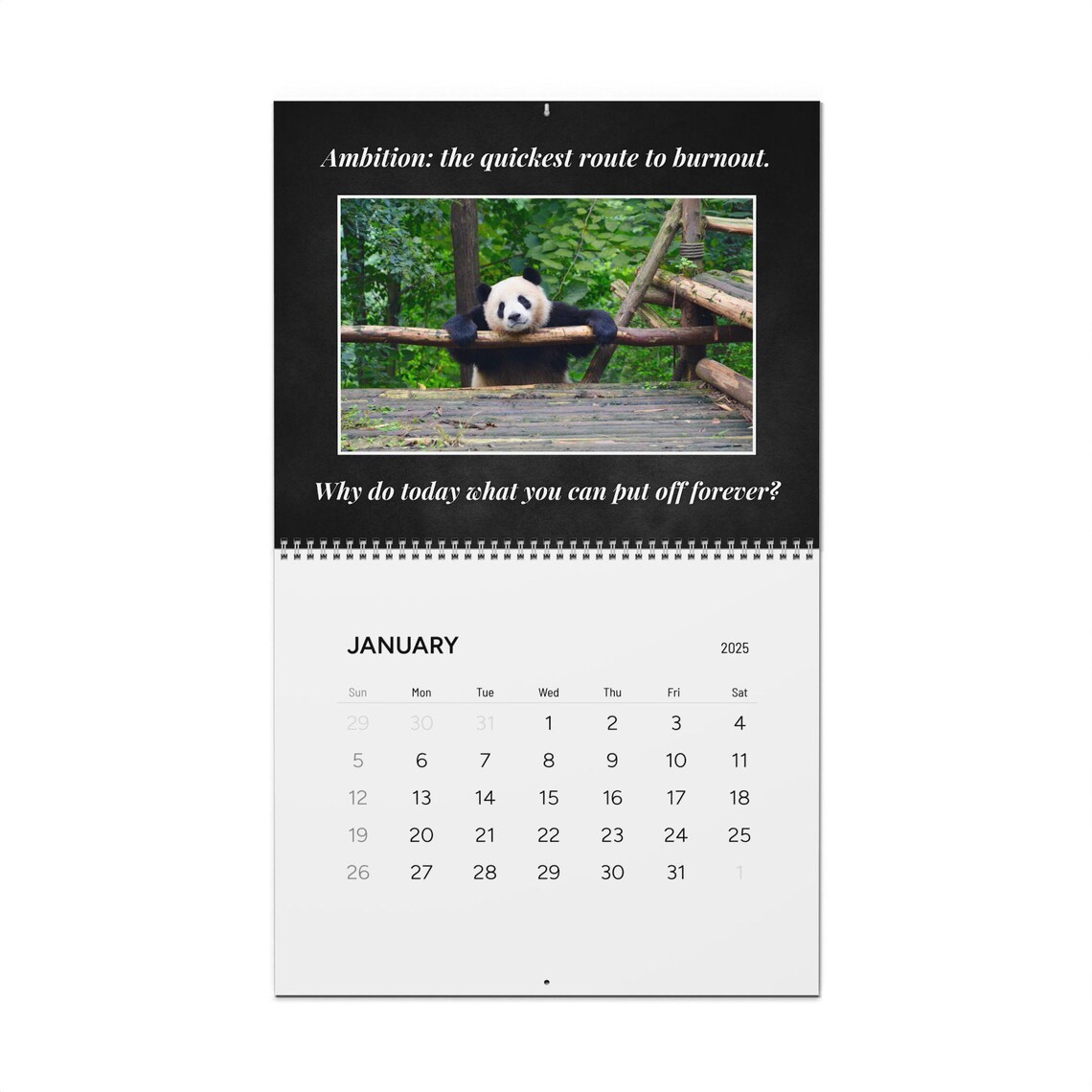 2025 Demotivation Wall Calendar, Funny 2025 Wall Calendar, Lazy Animal ...
