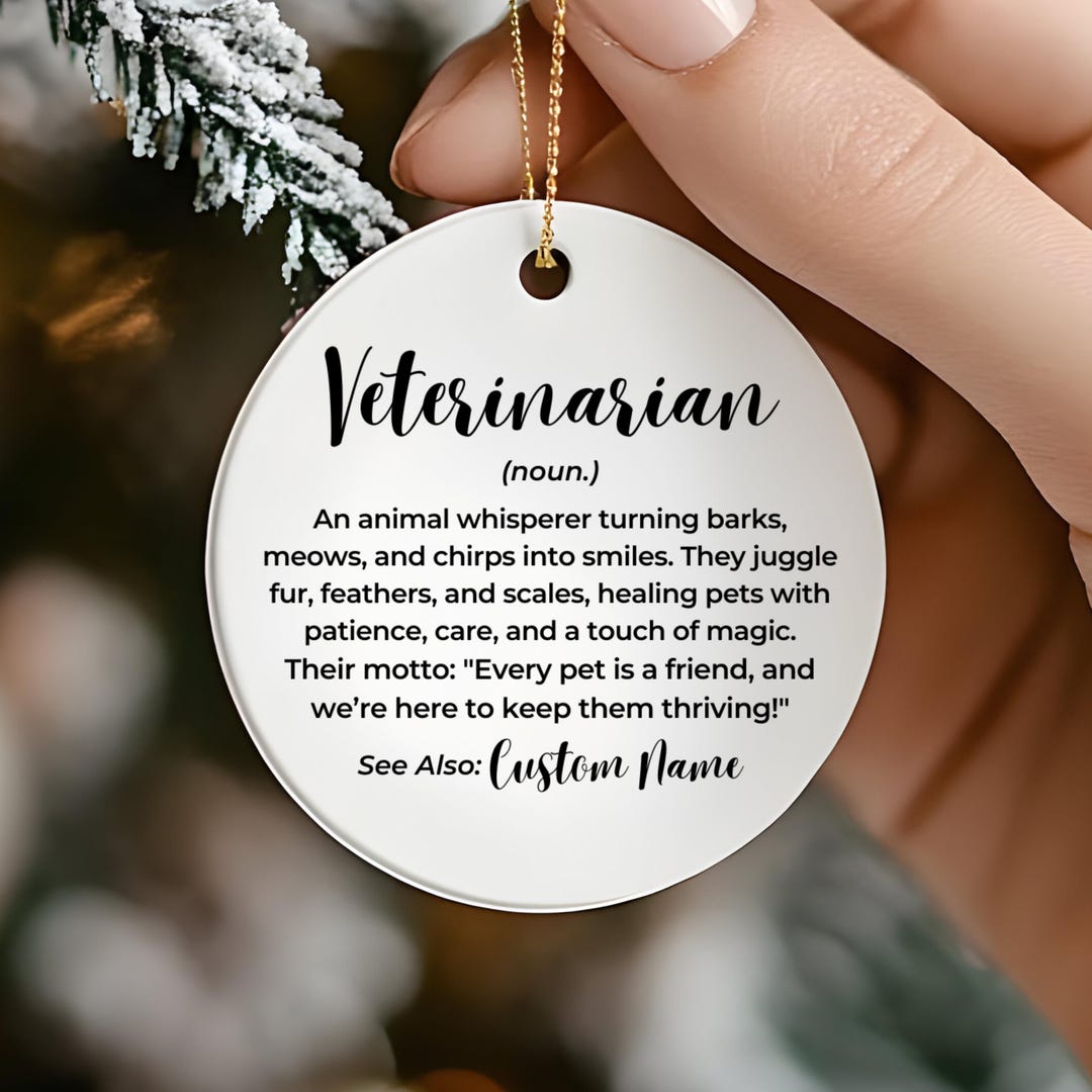 Veterinarian Definition Ornament, Veterinary Gift, Vet Clinic Decor ...