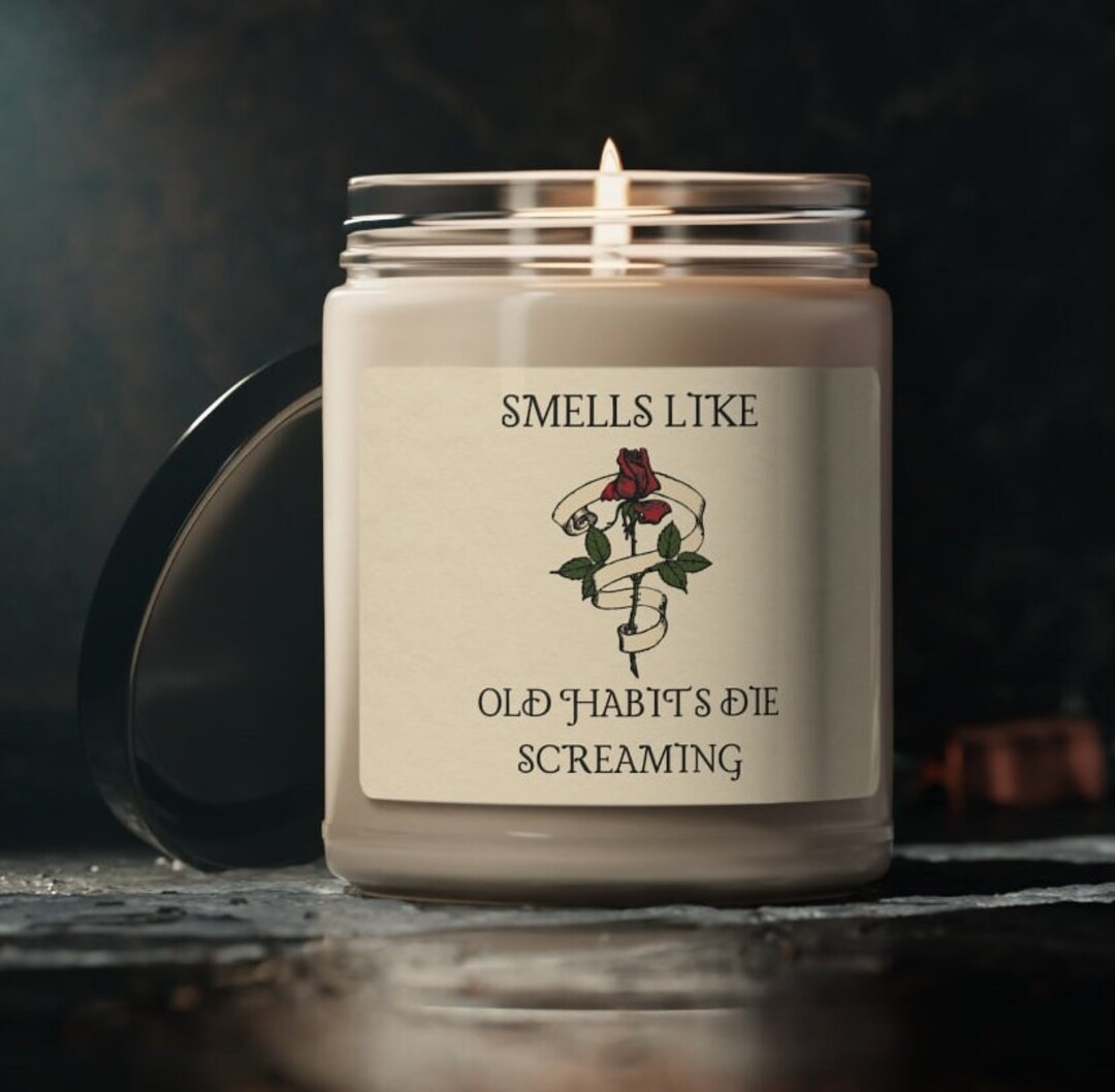 Taylor Eras Candle Swiftie Midnight the Black Dog Candle Merch Smells ...