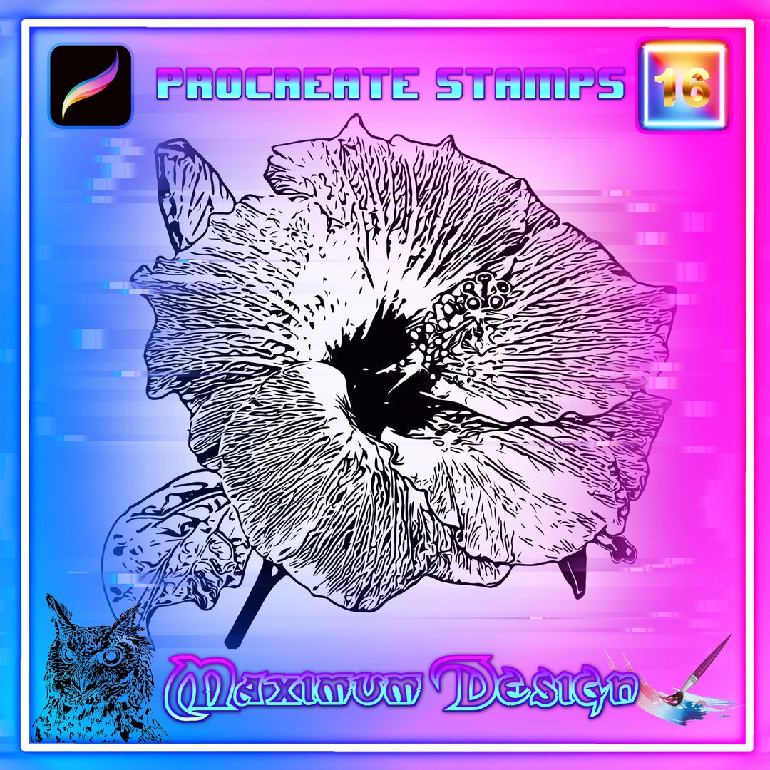 Hibiscus Flower, Unique Procreate Brush Set - 16 Stamps, Stamp, Brushes ...