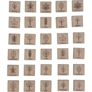 Wisewoodz Wooden Tree Leaves Memory Game, Learn Leaves Through Memory ...