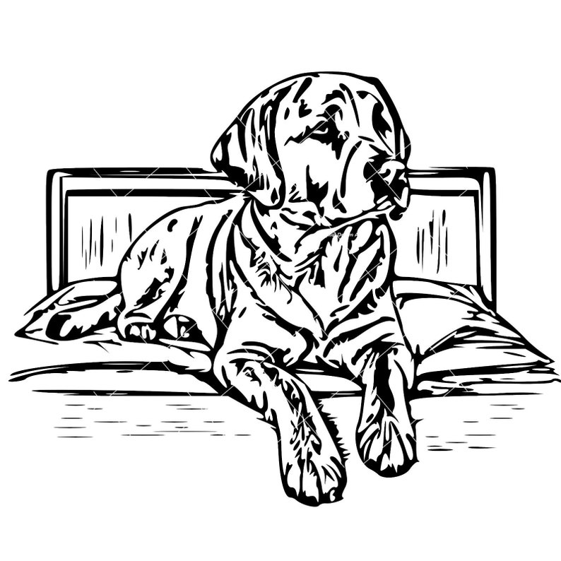 Labrador on the Couch SVG Dog, Vector, DXF, PNG, Clipart-vector Graphic ...
