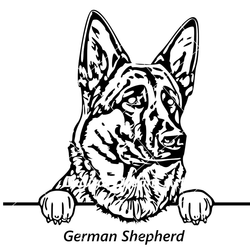 German Shepherd SVG Pet Vector Breed DXF PNG Clipart - Etsy