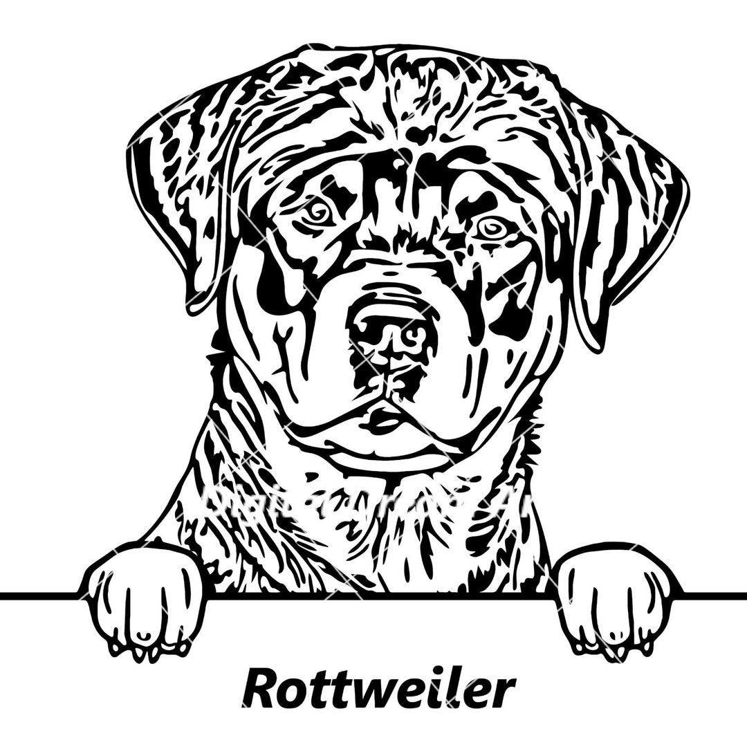 Rottweiler SVG - Peeking Dog, Vector, DXF, PNG, Clipart - Vector ...