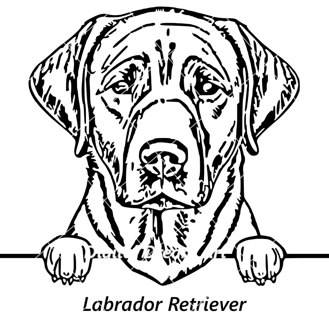 Labrador Retriever SVG, Vector, Breed, DXF, PNG, Clipart vector Graphic ...