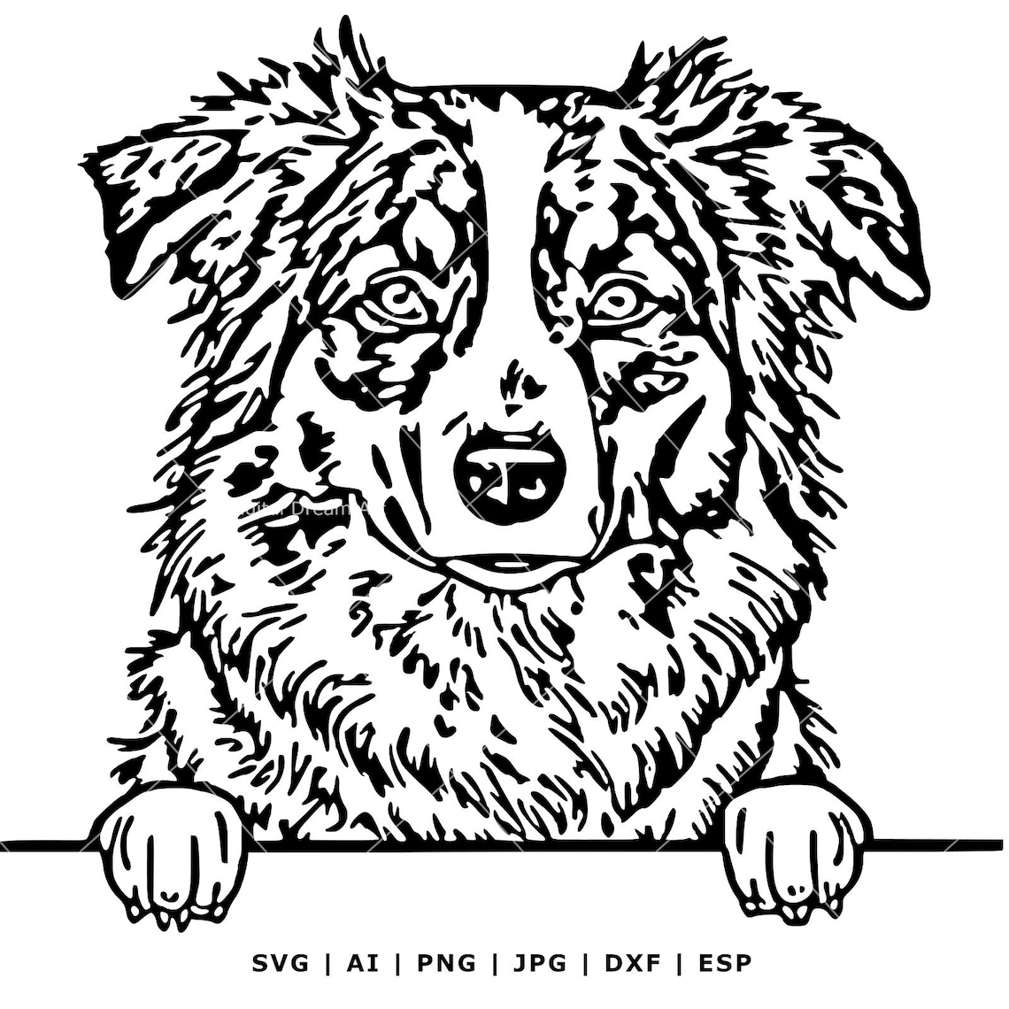 Australian Shepherd SVG Dog, Vector, DXF, PNG, Clipart Vector Graphic ...
